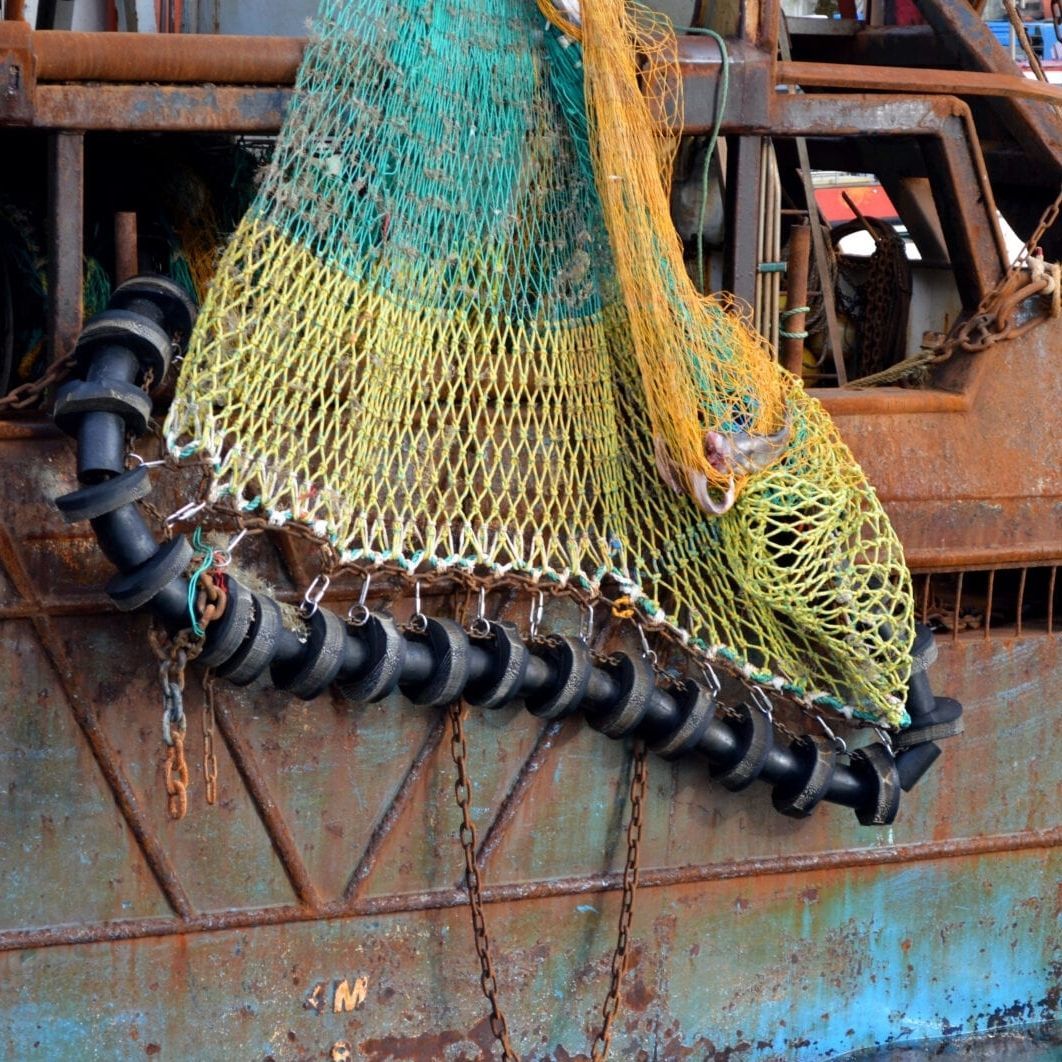 Filet chalut - Flatfish - Vónin - de pêche