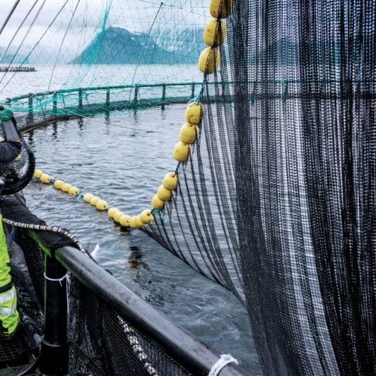 Filet pour l'aquaculture - Vónin - pour cage à poissons