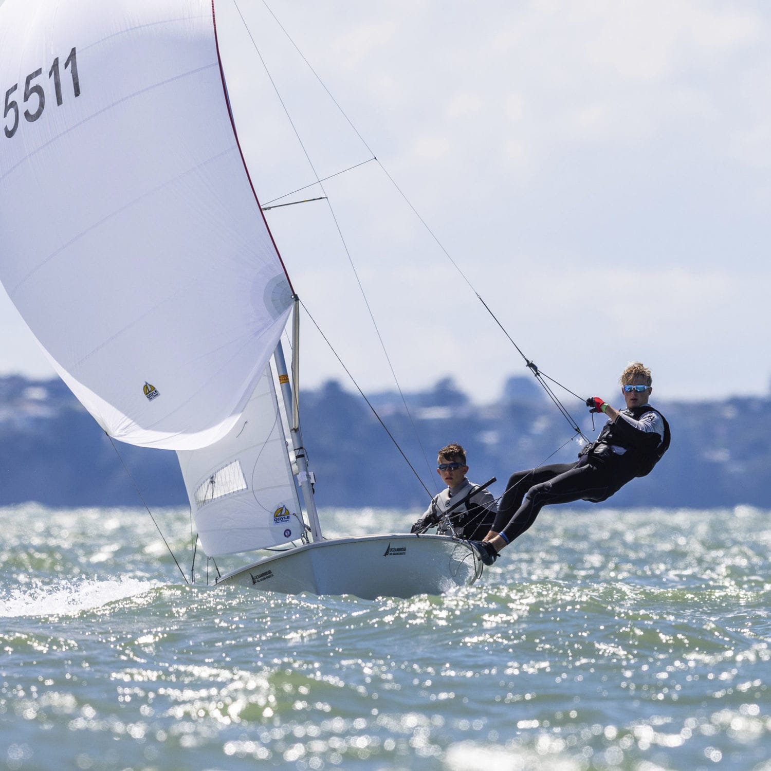 Grand-voile - International - Doyle - foc / spinnaker / pour voilier ...