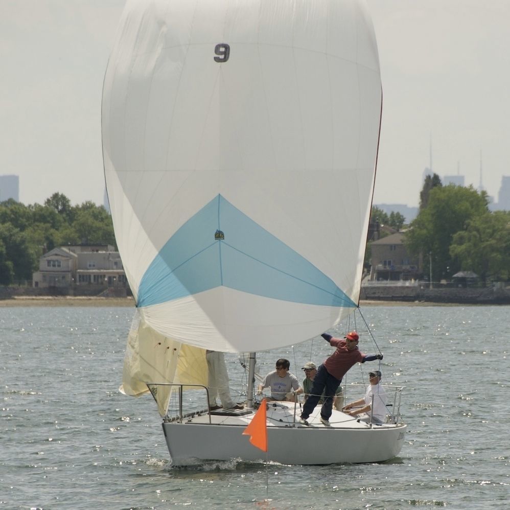 Grand-voile - Doyle - génois / foc / pour quillard de sport monotype