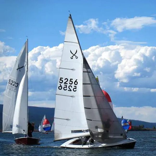 Grand-voile - Buccaneer - Quantum Sails - foc / spinnaker / pour dériveur