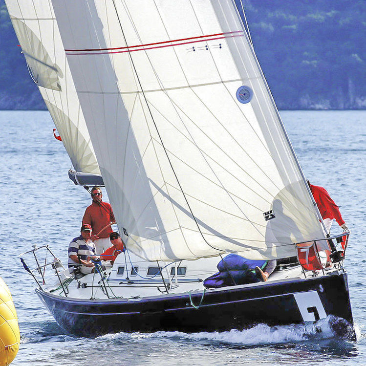 Génois - UK-Halsey International - pour voilier de croisière / coupe ...