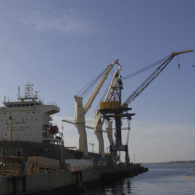 Grue portuaire - Level Luffing Crane - GENMA SOLUTION - à fléchette