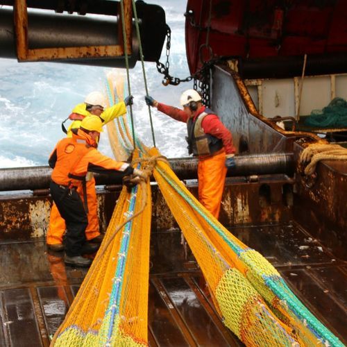 Filet de pêche - Turbot - Vónin - chalut