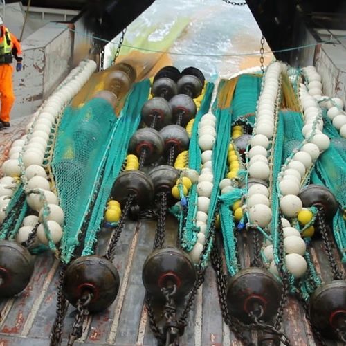 Filet de pêche - Novaja - Vónin - chalut