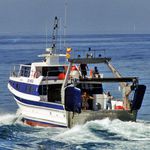 Chalutier - Tous les fabricants du nautisme et du maritime